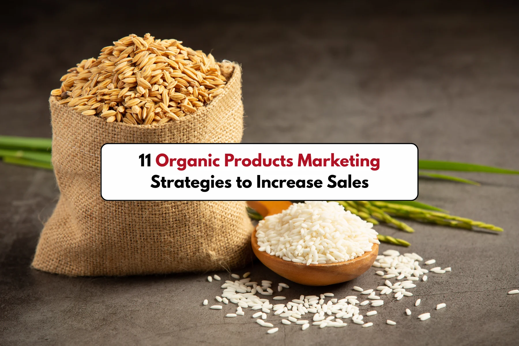 11 Organic Products Marketing Strategies To Increase Sales